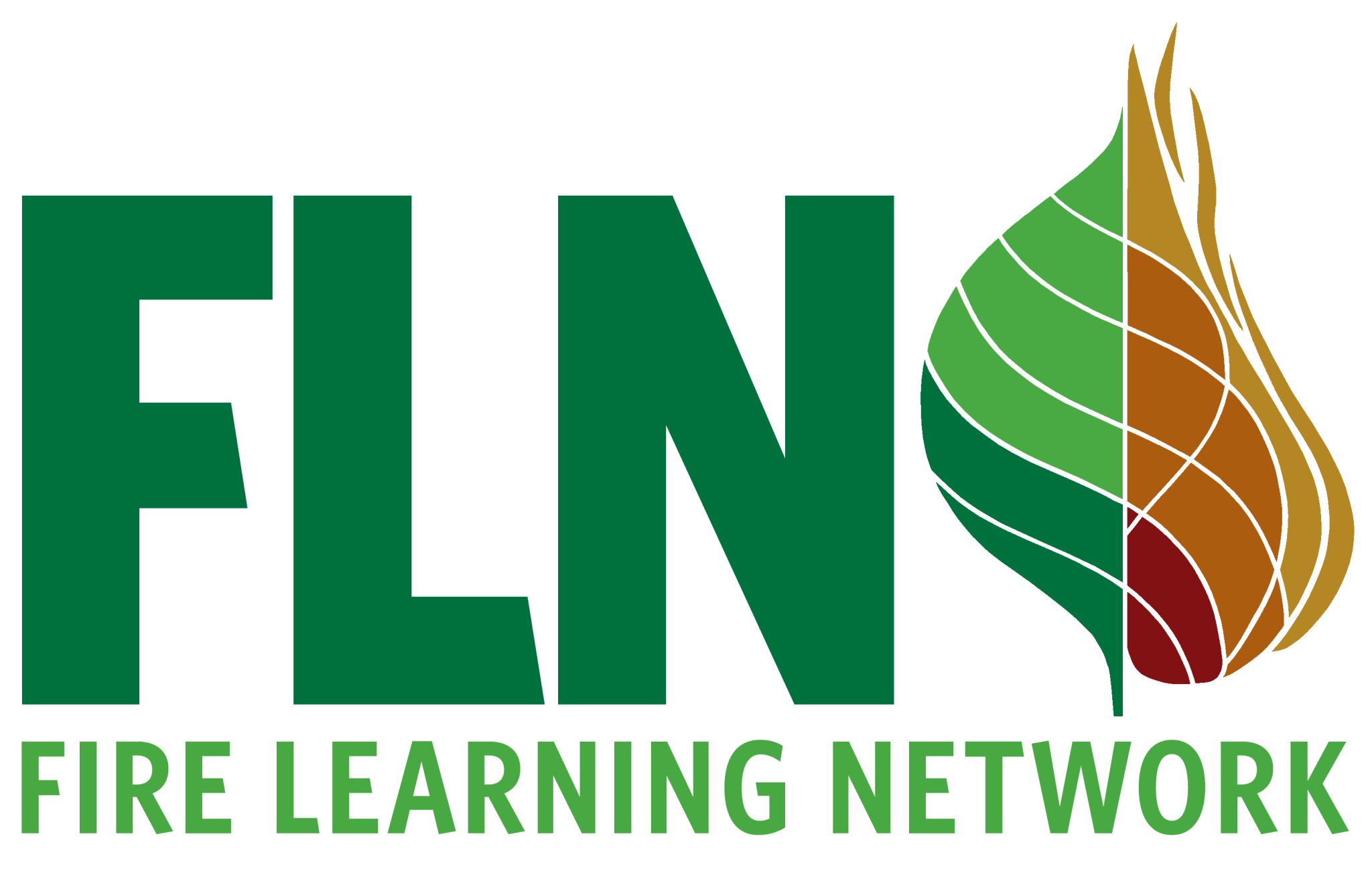 Fire Networks - Contact - Fire Networks