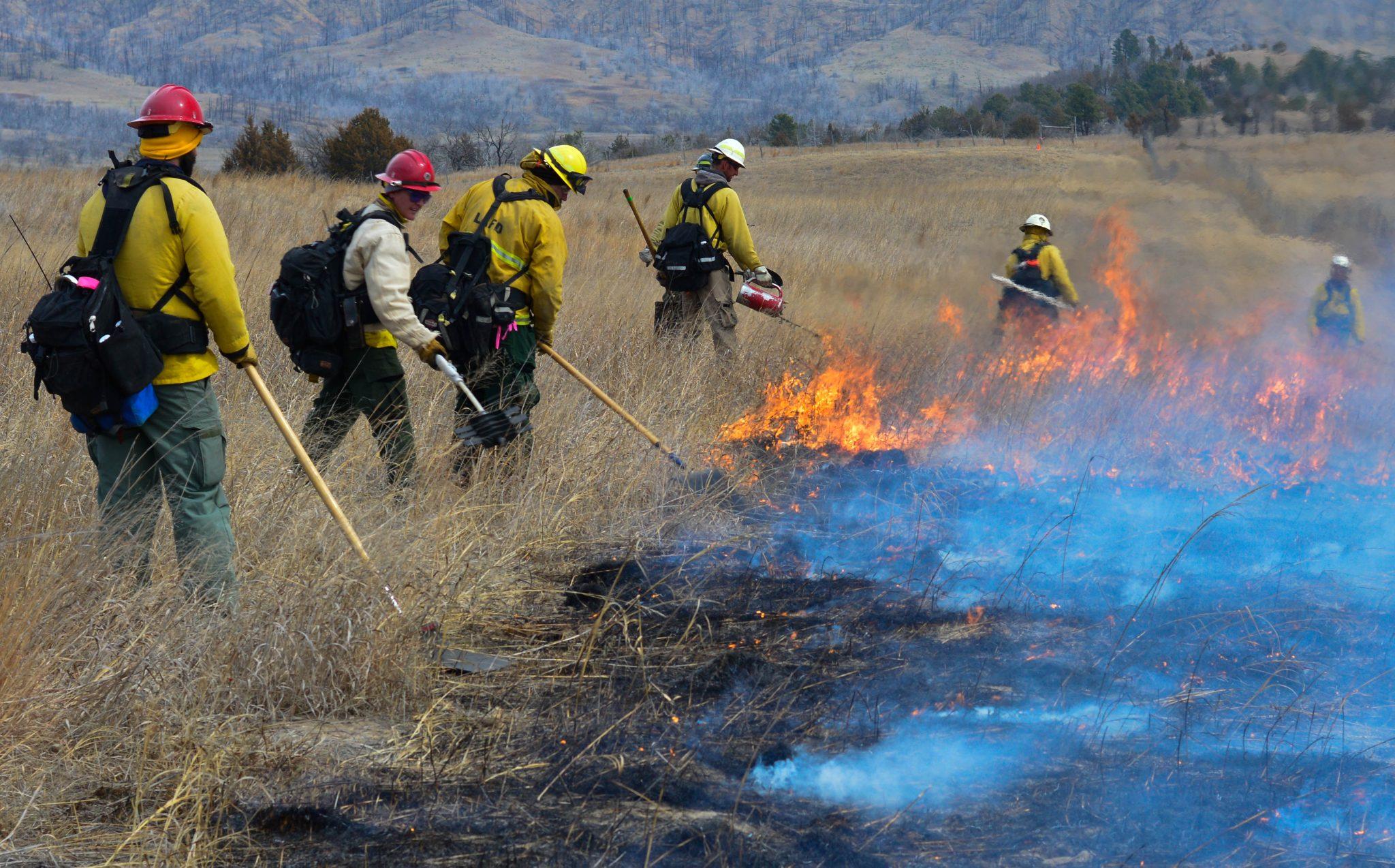 Forest Stewards Guild - Fire Networks